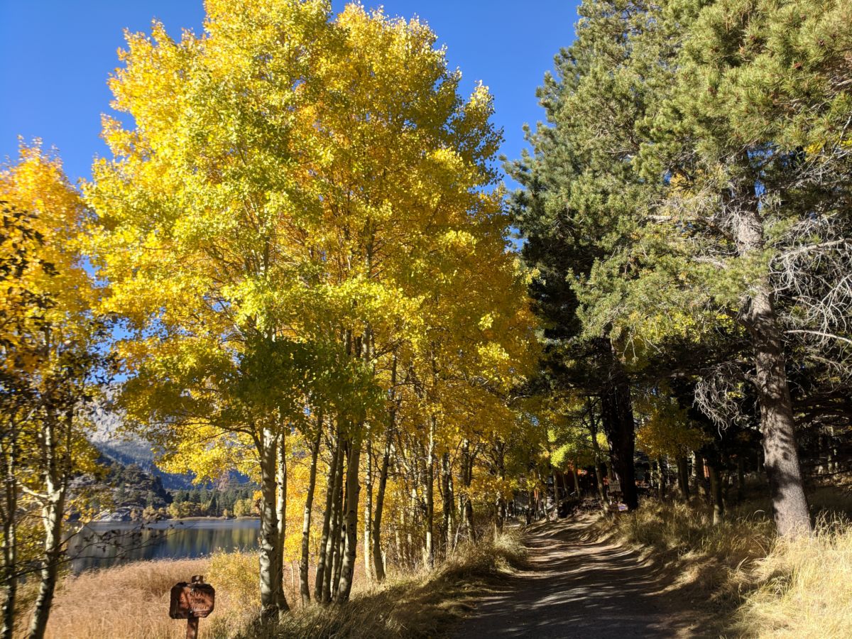 FALL COLORS – Visit June Lake Loop