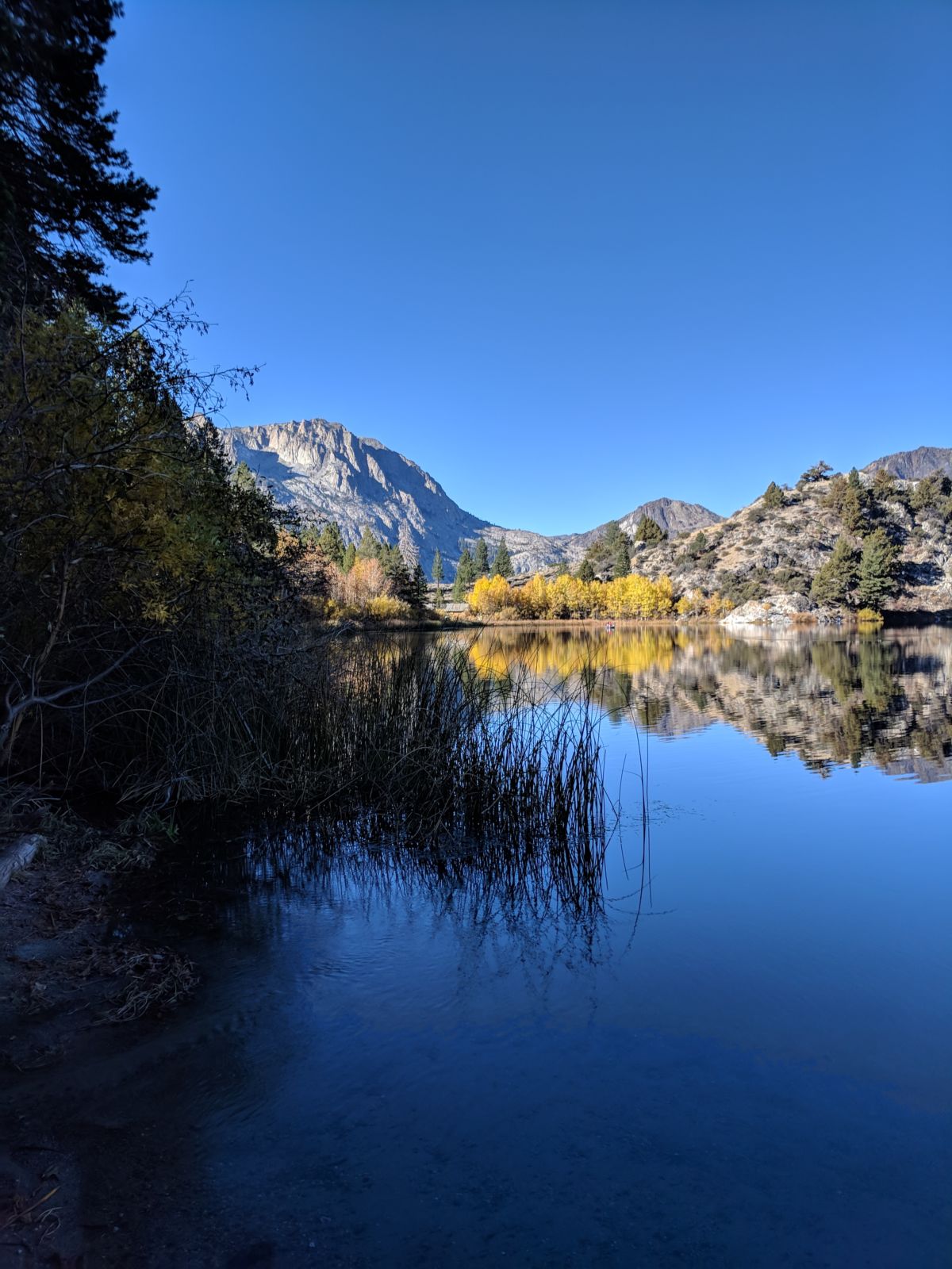 FALL COLORS – Visit June Lake Loop