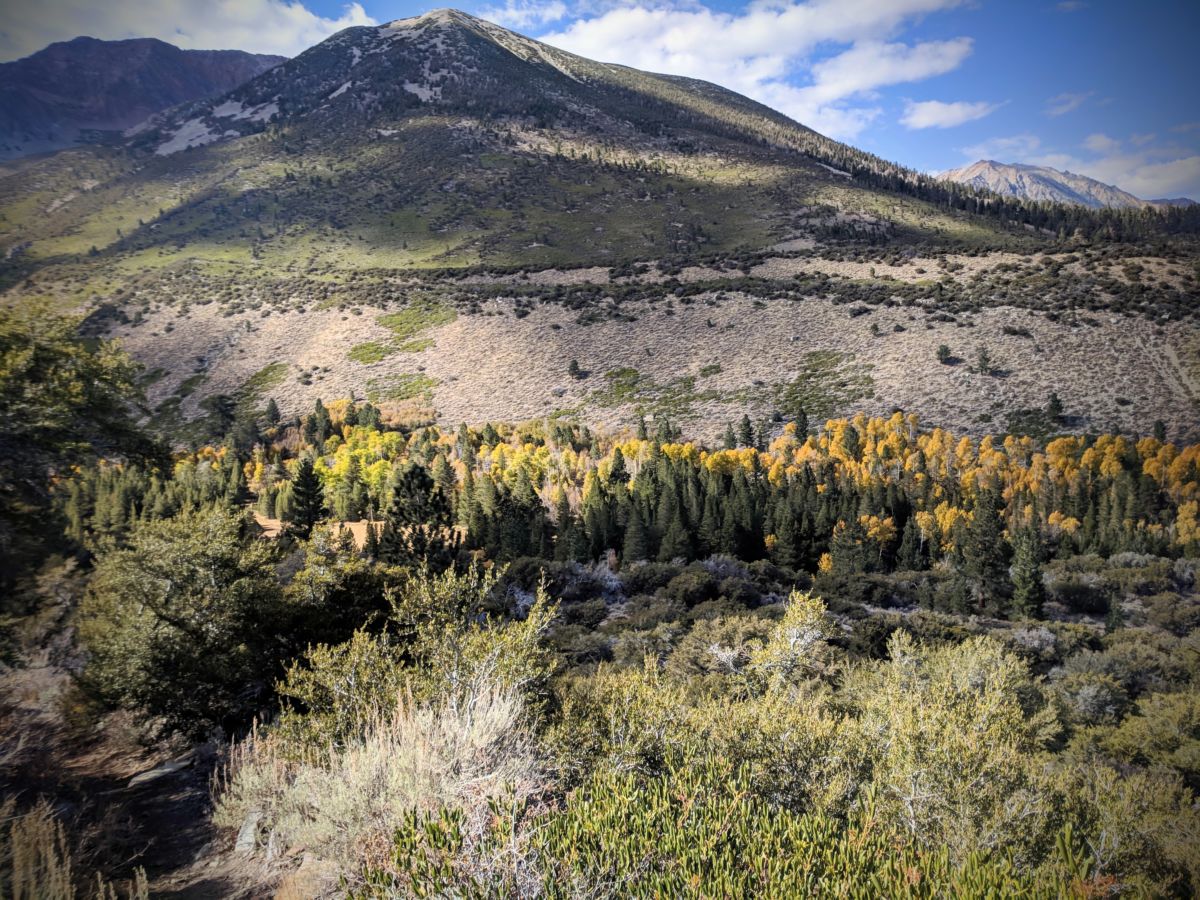 FALL COLORS – Visit June Lake Loop